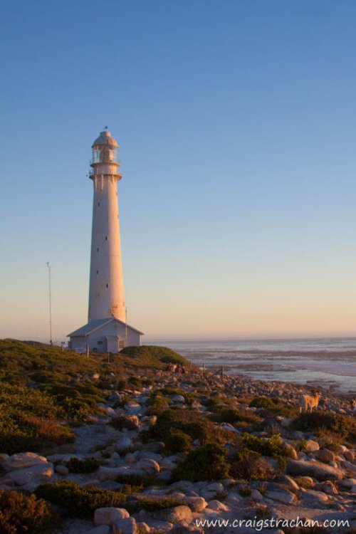 Cape-Town | Craig Strachan - portfolio | Craig Strachan