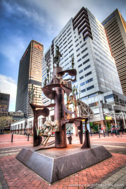 Cape-Town | Craig Strachan - portfolio | Craig Strachan